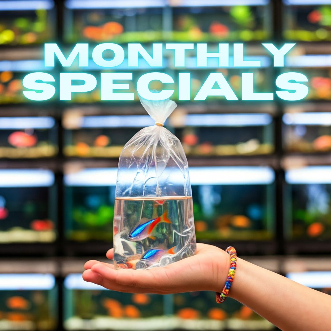 Monthly Specials – Stillwater Aquaria
